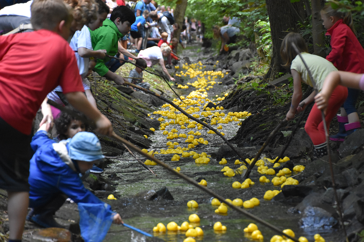 Lions Club Oberursel